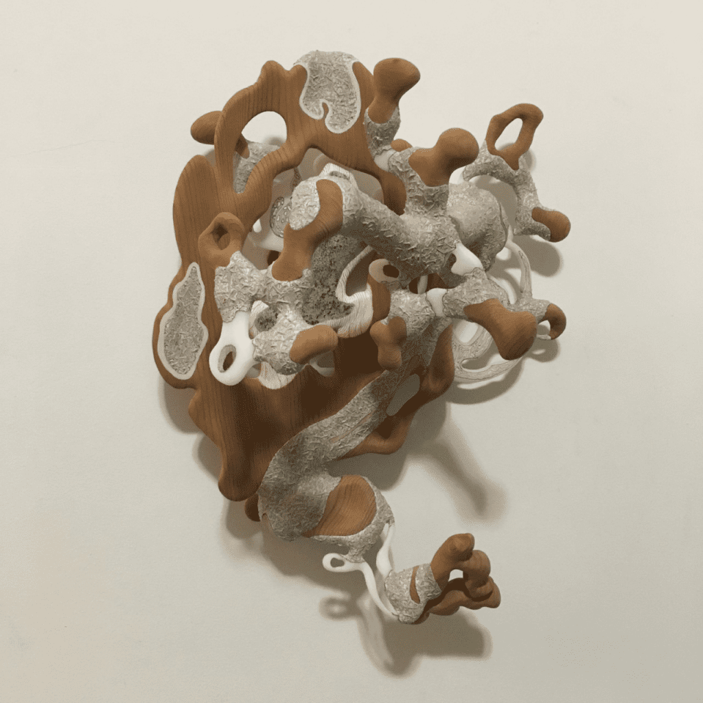 B O D Y | Christopher Fahey: Nurtured Forms